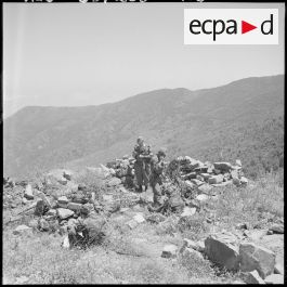 ImagesDéfense - Tenes. Commando de chasse du 3e bataillon du 22e ...