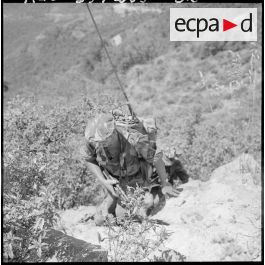 ImagesDéfense - Tenes. Commando de chasse du 3e bataillon du 22e ...