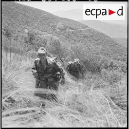 ImagesDéfense - Tenes. Commando de chasse du 3e bataillon du 22e ...