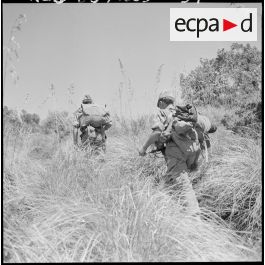 ImagesDéfense - Tenes. Commando de chasse du 3e bataillon du 22e ...