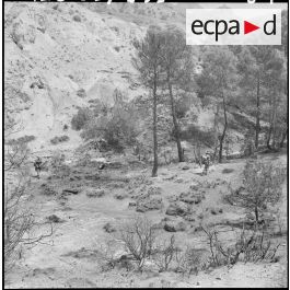 ImagesDéfense - Les éléments du 3e régiment étranger d'infanterie (3e ...