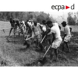 ImagesDéfense - République Rwandaise, 1970. Travaux des champs. Equipe ...