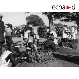 ImagesDéfense - République du Niger, Zinder, 1953. La cuisson des ...