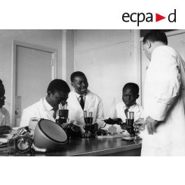 ImagesDéfense - République de Côte d'Ivoire, 1970. ORSTOM. Chercheurs.