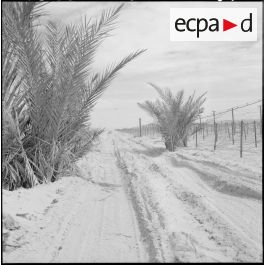 ImagesDéfense - A Ougla - Bou Moussa, le réseau de barbelés rencontre ...