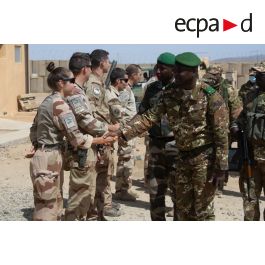 ImagesDéfense - Le général de brigade Oumar Diarra salue les ...