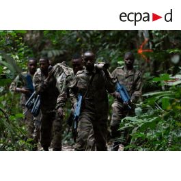 ImagesDéfense - Des soldats congolais évacuent leur camarade blessé pour un exercice en forêt à ...