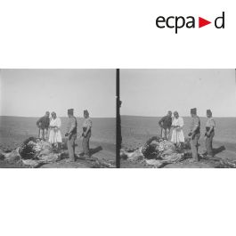 ImagesDéfense - 138. Autopsie d'un cheval. [légende d'origine]