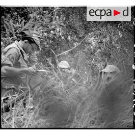 ImagesDéfense - Opération dans les monts de Saïda. [Description en cours]