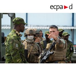 ImagesDéfense - Des marsouins du 43e bataillon d'infanterie de marine ...