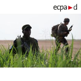 ImagesDéfense - Un soldat ivoirien sécurise la progression des ...