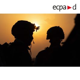 ImagesDéfense - Des marsouins du 43e bataillon d'infanterie de marine ...