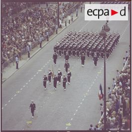 ImagesDéfense - Vue aérienne du défilé à pied. Passage du drapeau et sa ...