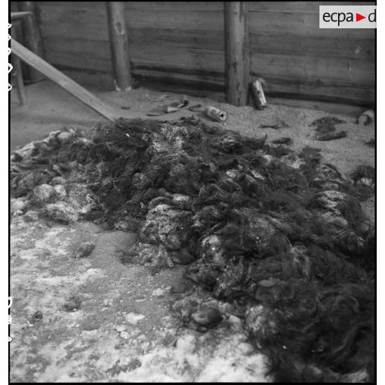 ImagesDéfense - Camp de concentration du Struthof. [description en cours]