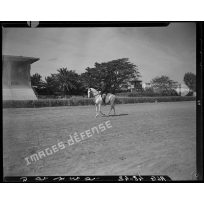 ImagesDéfense - Présentation d'un cheval et de son cavalier, lors d'un ...