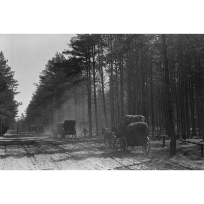 ImagesDéfense - Le général (Generaleutnant) Theodor Scherer commandant ...