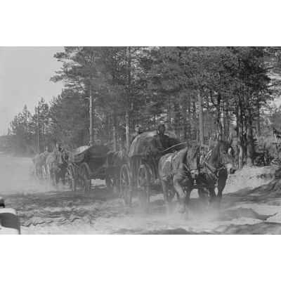 ImagesDéfense - Une charrette hippomobile du 183e régiment d'infanterie ...