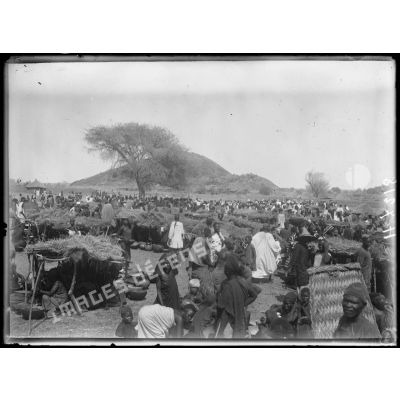 ImagesDéfense - Mendif. Le marché. [légende d'origine]