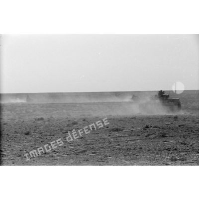 ImagesDéfense - Eléments du Panzer Regiment 8 (Pz.Rgt-8) en formation ...