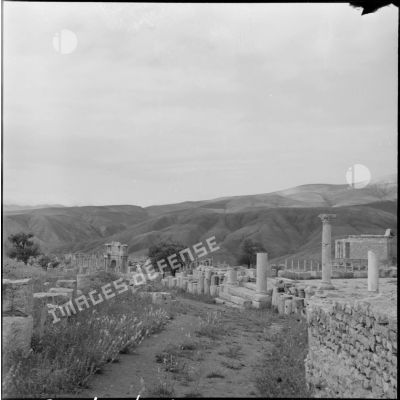 ImagesDéfense - Le site archéologique de Djemila.
